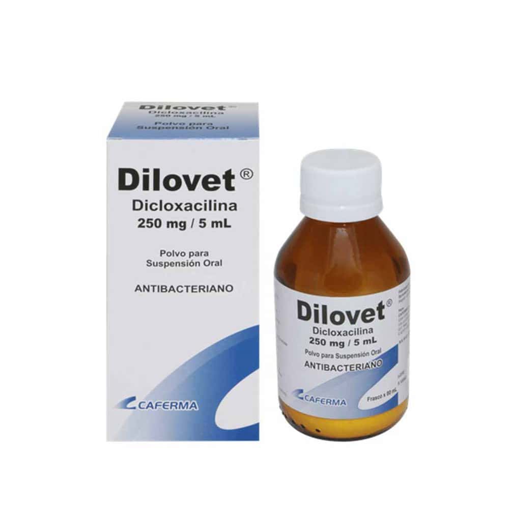 Dilovet 250mg/5ml Polvo para Suspensión oral | Inkafarma