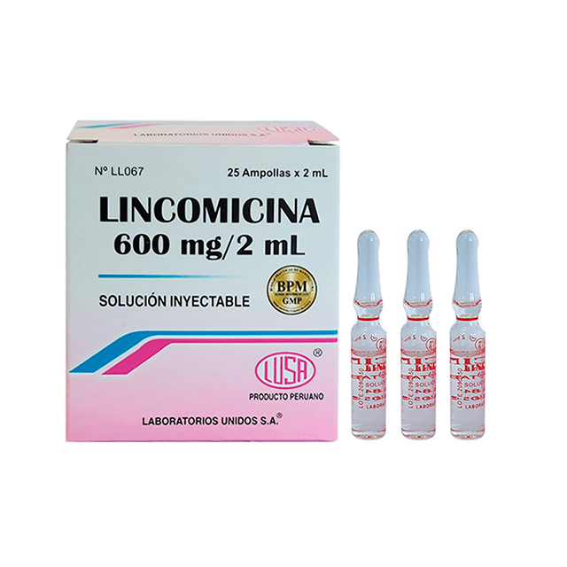 Lincomicina LUSA 600mg/2ml inyectable - Mifarma