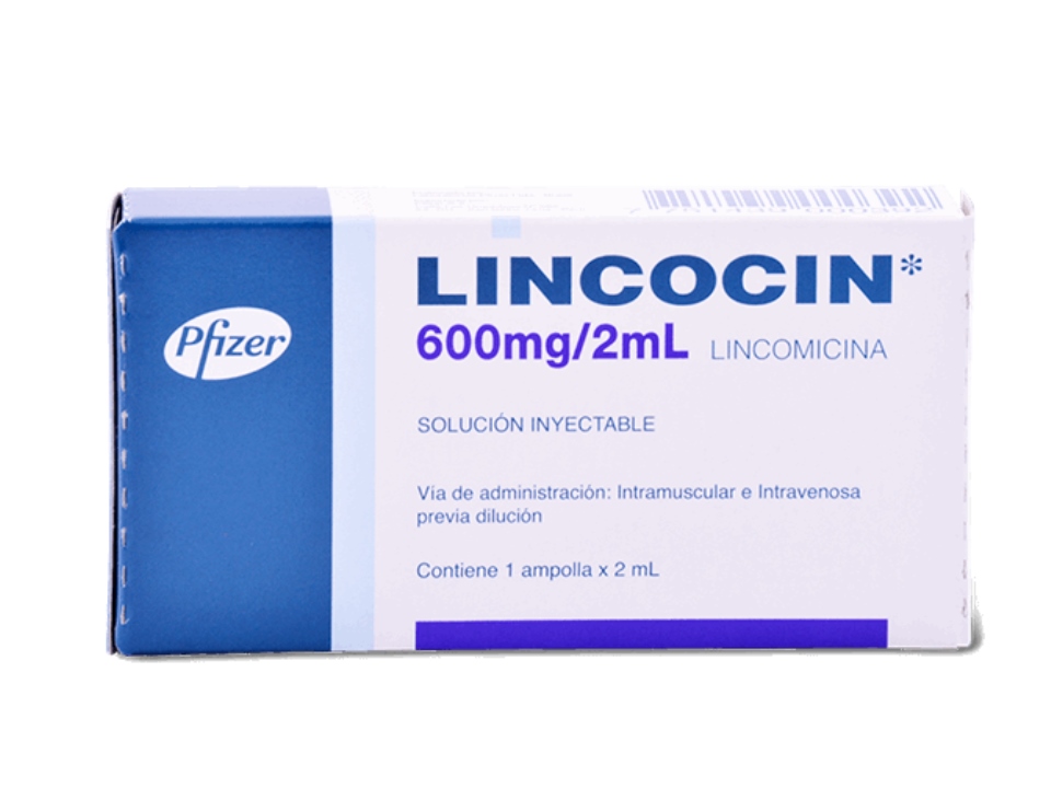 Lincocin 600 Mg/ 2 Ml Solución Inyectable | Inkafarma