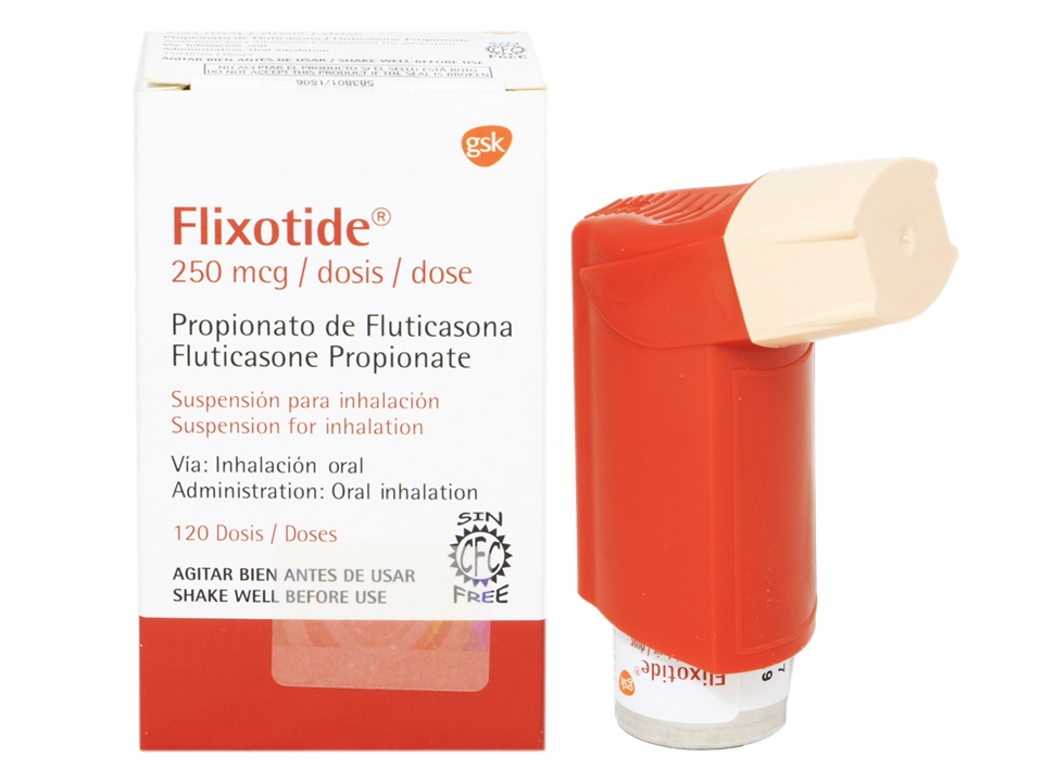 Flixotide 250 Mcg/Dosis Inhalador | Inkafarma